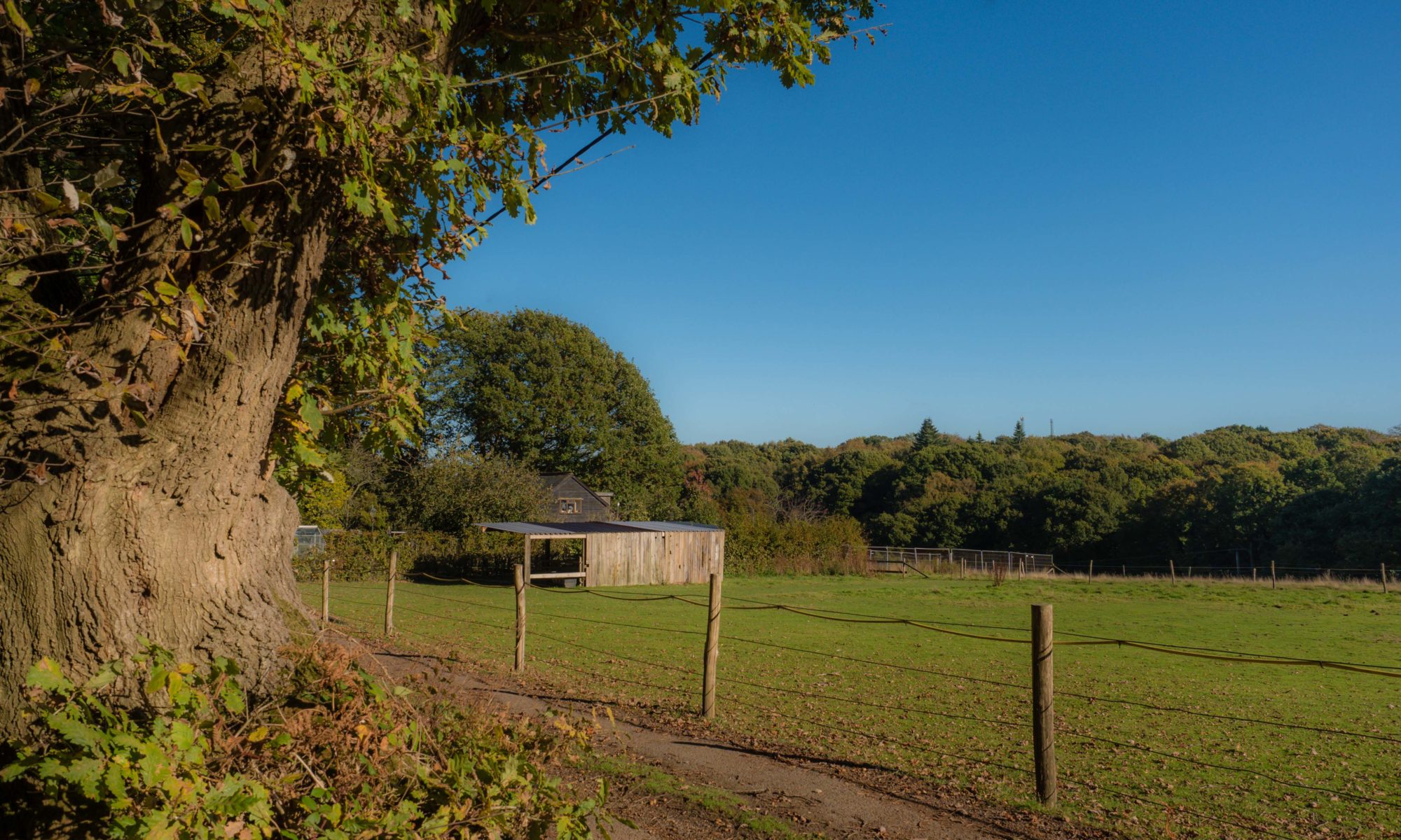 About – The Layberry Foundation